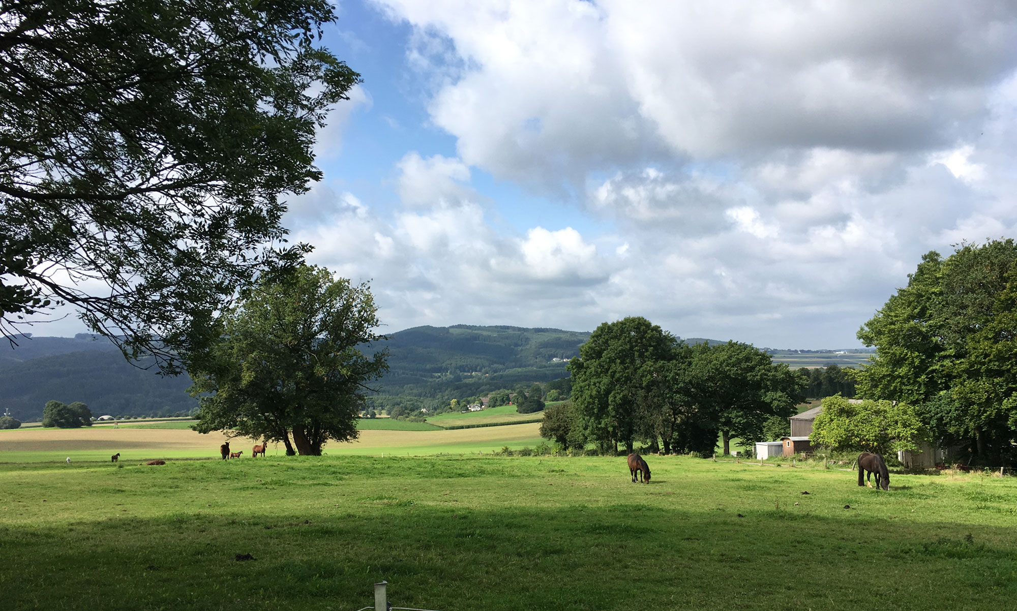 Der Antonius Weg in Eisborn und ein Ausflug zur blauen Lagune